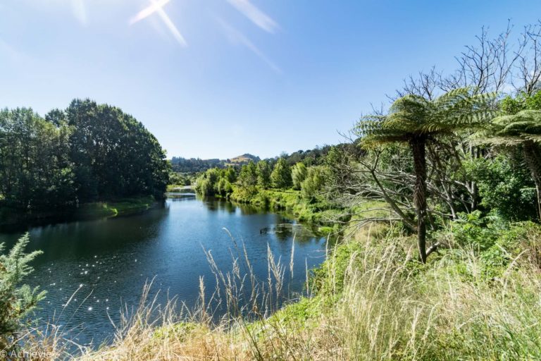Biking from Waihi to Hikutaia