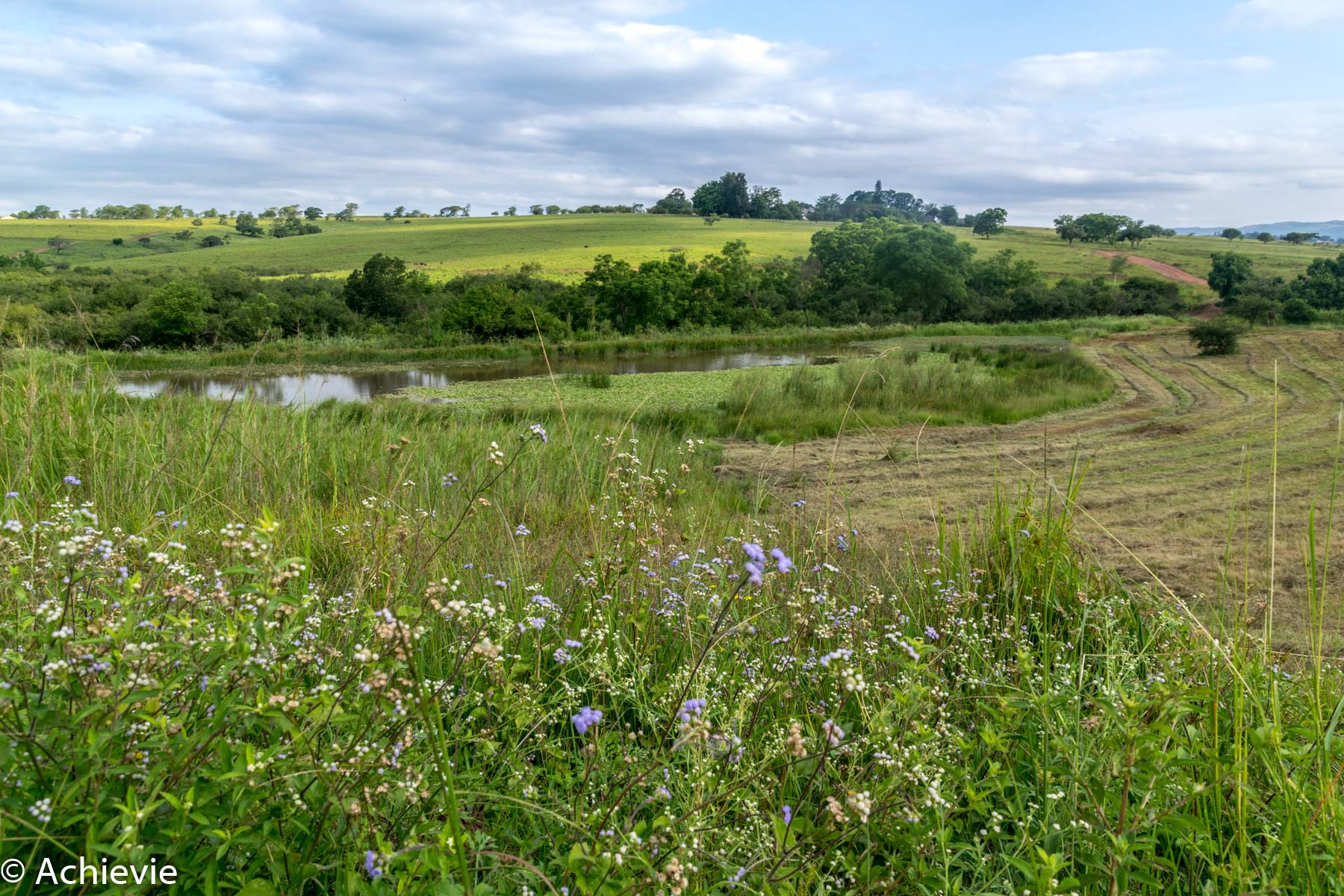 Why to visit the smallest country in the Southern hemisphere?