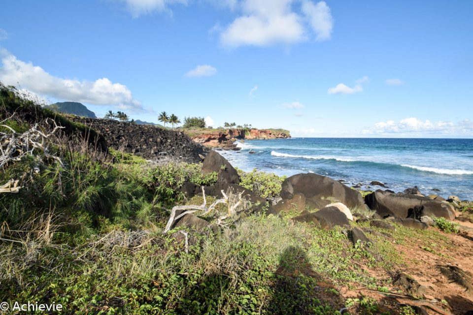 Top 5 things to do @ Kauai, Hawaii