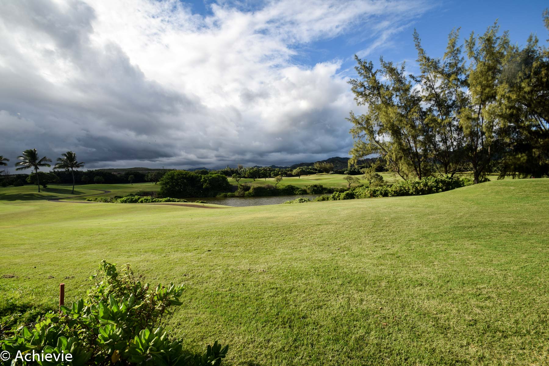 Top 5 things to do @ Kauai, Hawaii