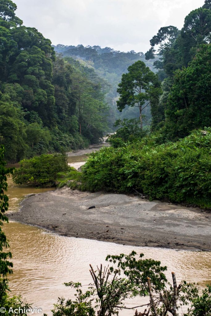 Danum Valley… An ancient tropical forest - TravellingAccountant
