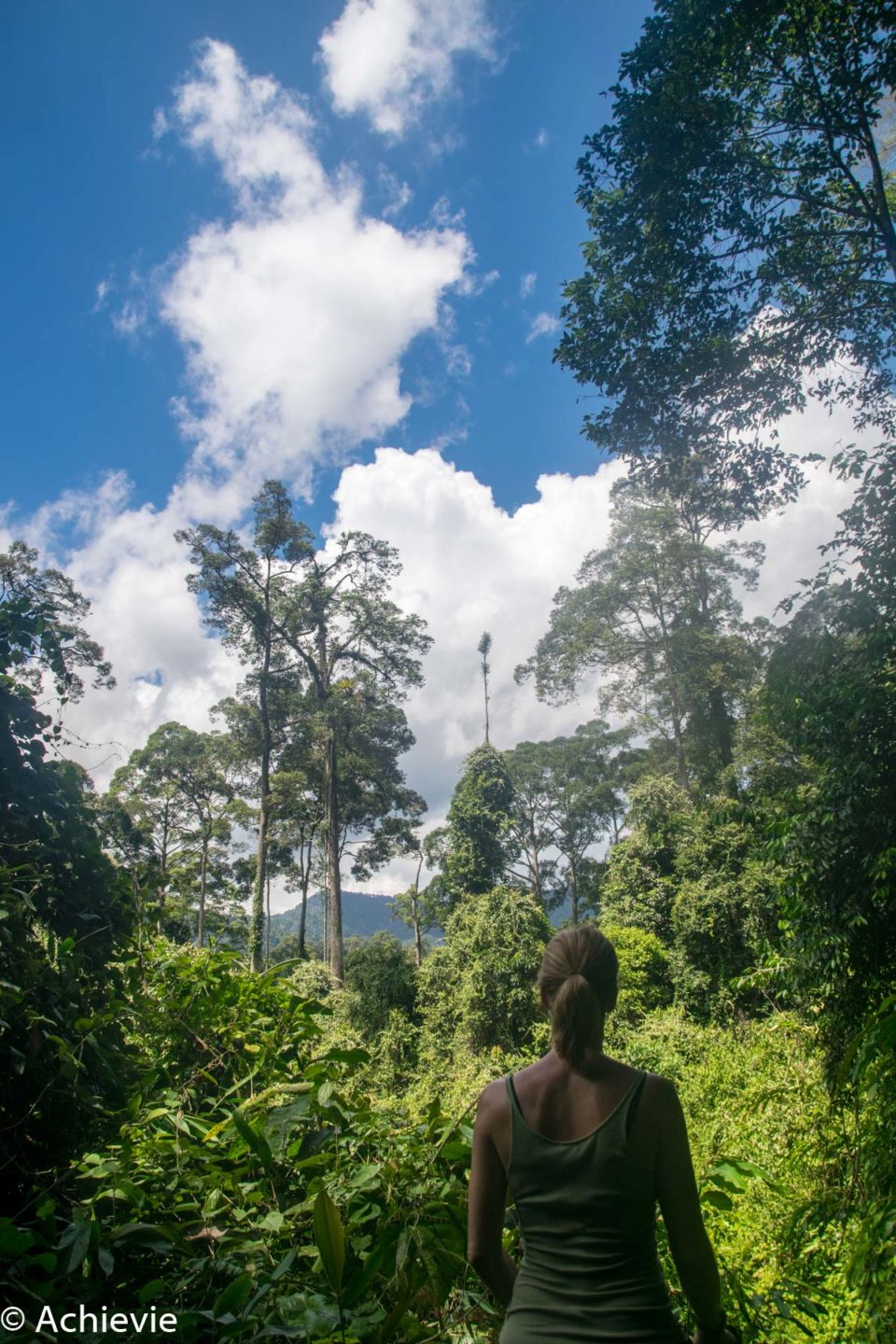 Danum Valley… An ancient tropical forest - TravellingAccountant