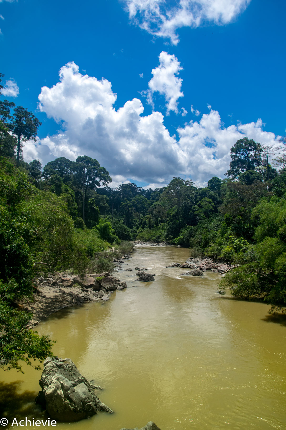 Danum Valley… An ancient tropical forest - TravellingAccountant