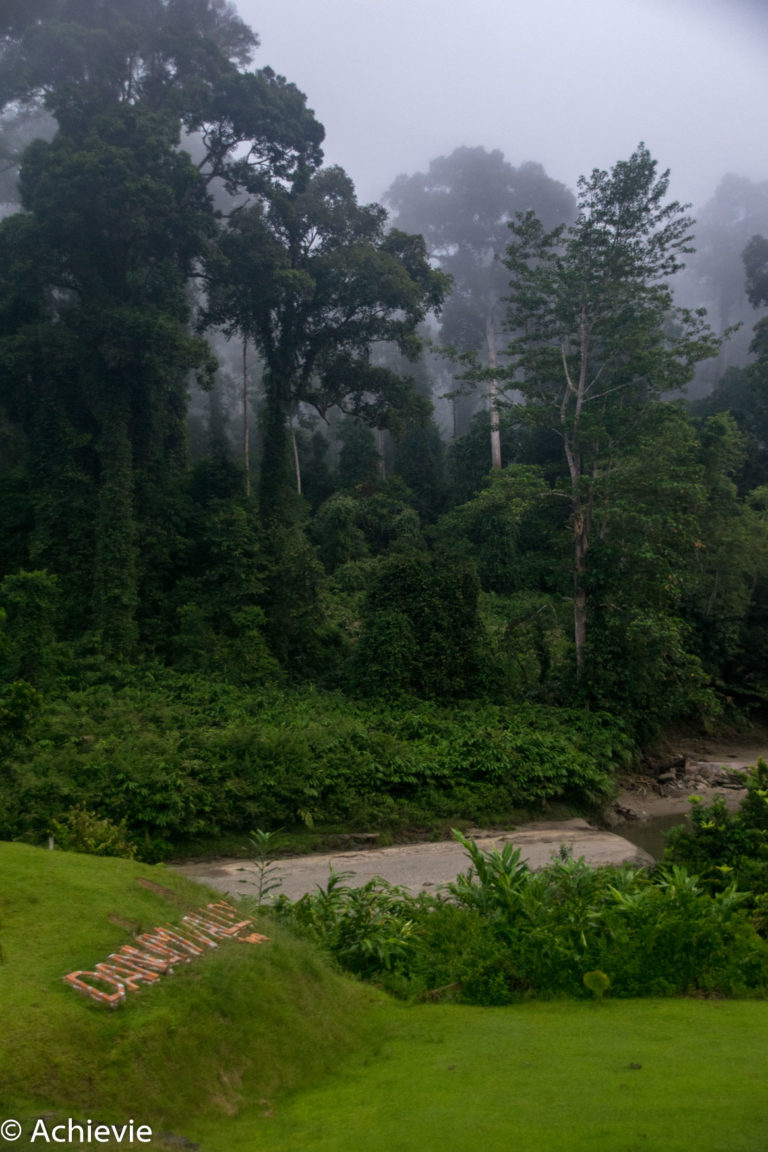 Danum Valley… An ancient tropical forest - TravellingAccountant