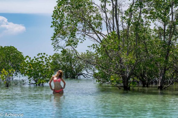 Libaran Island: turtle sanctuary AND your own private island ...