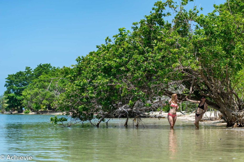 Libaran Island: turtle sanctuary AND your own private island ...