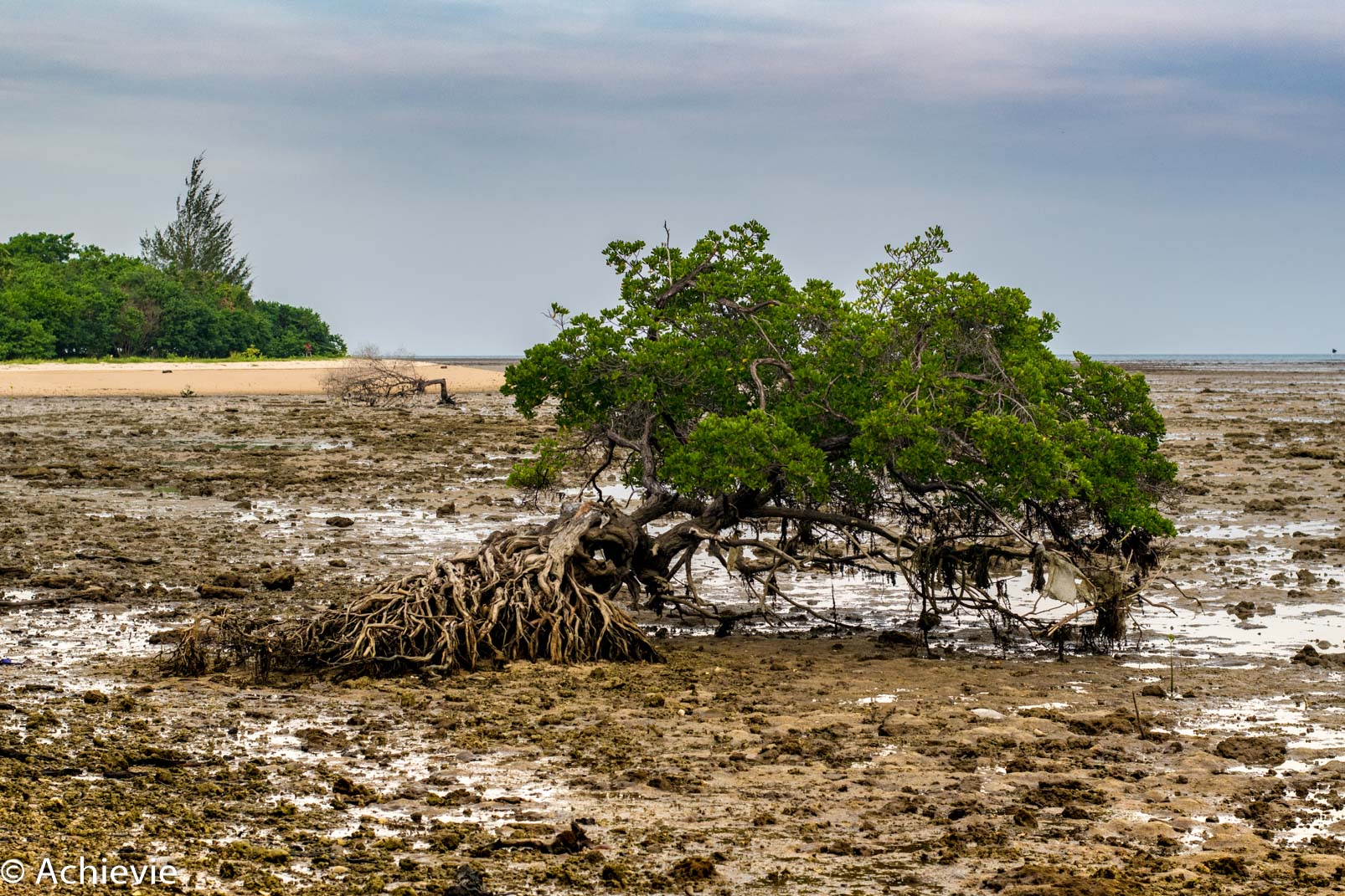 Libaran Island: turtle sanctuary AND your own private island