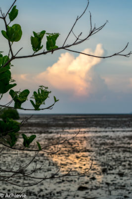 Libaran Island: turtle sanctuary AND your own private island - The ...