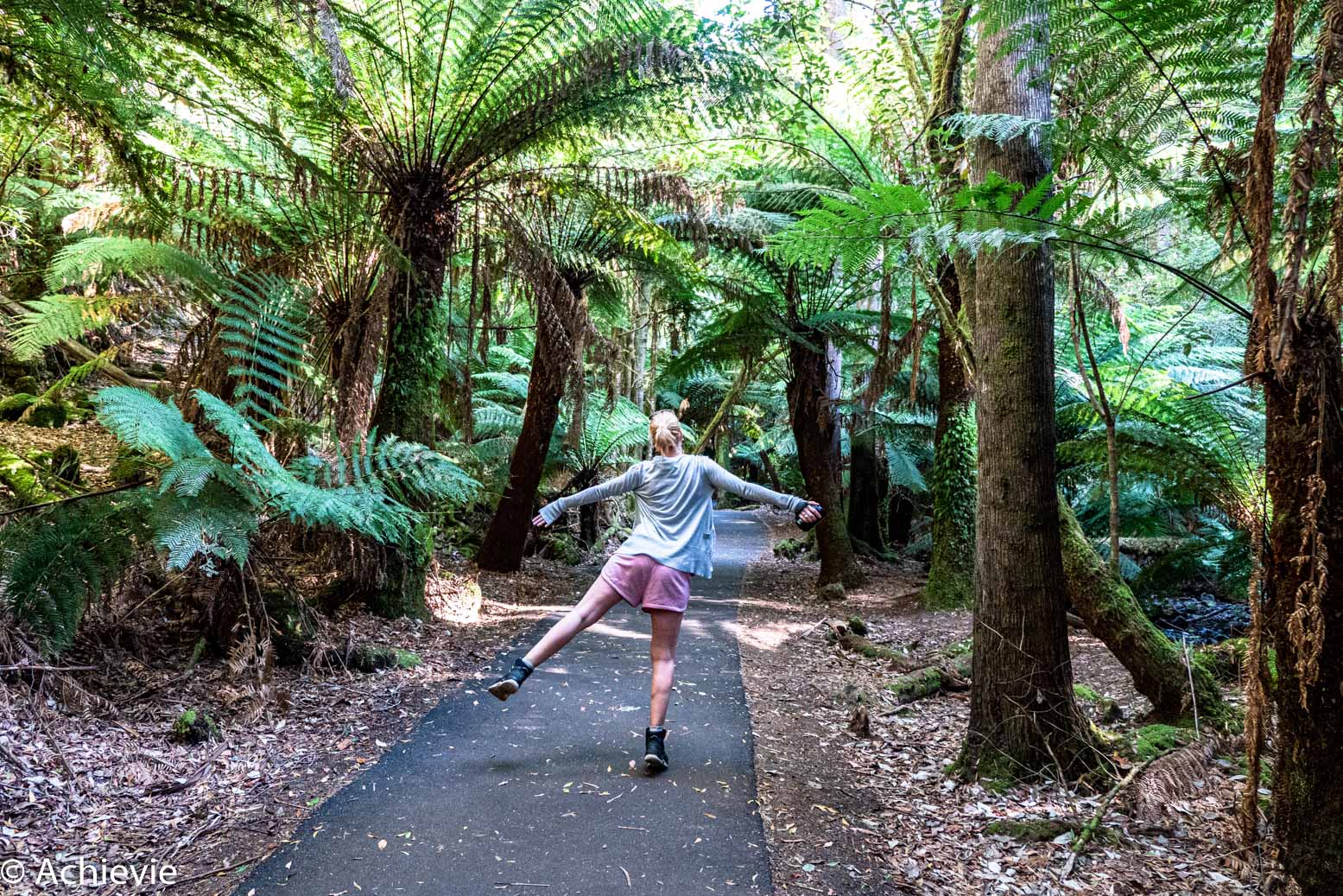 Hiking at Mount Field National Park - TravellingAccountant