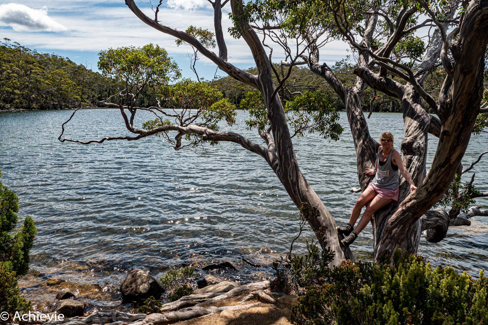 Hiking at Mount Field National Park - TravellingAccountant