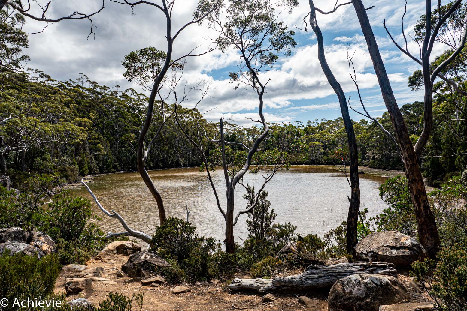 Hiking at Mount Field National Park - TravellingAccountant
