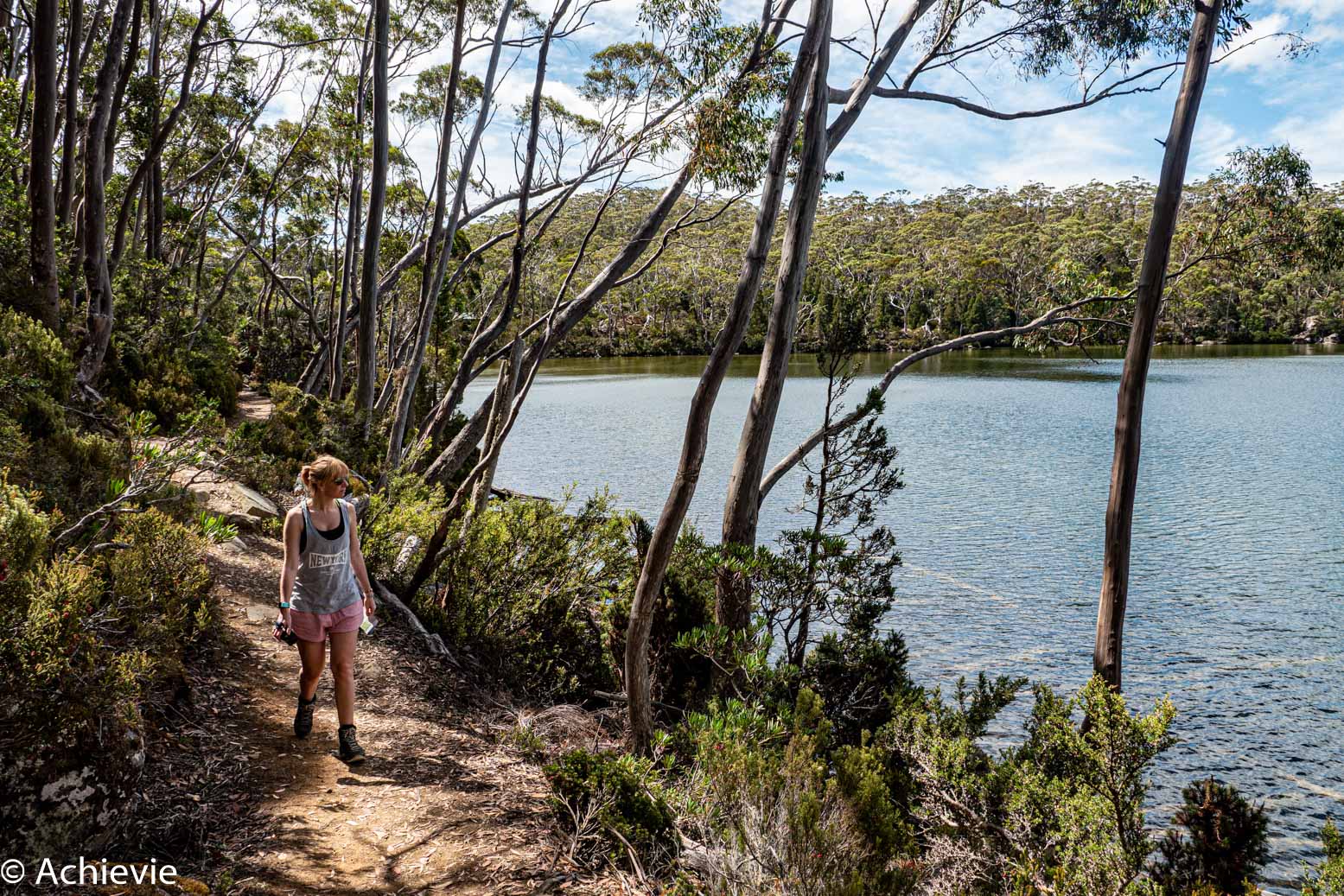 Hiking at Mount Field National Park - TravellingAccountant